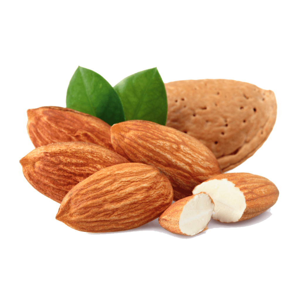 Kuruyemiş – Leziza Foods